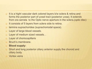 this ppt cover the anatomy of uveal tract | PPT