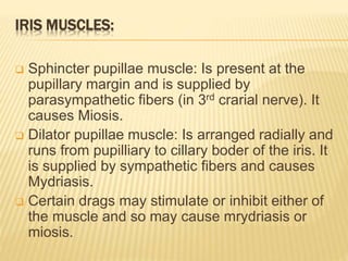 this ppt cover the anatomy of uveal tract | PPTX