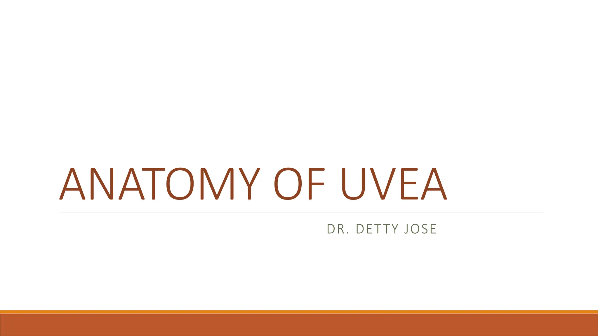 Anatomy, bood supply of UVEA- iris, ciliary body and choroid .pptx