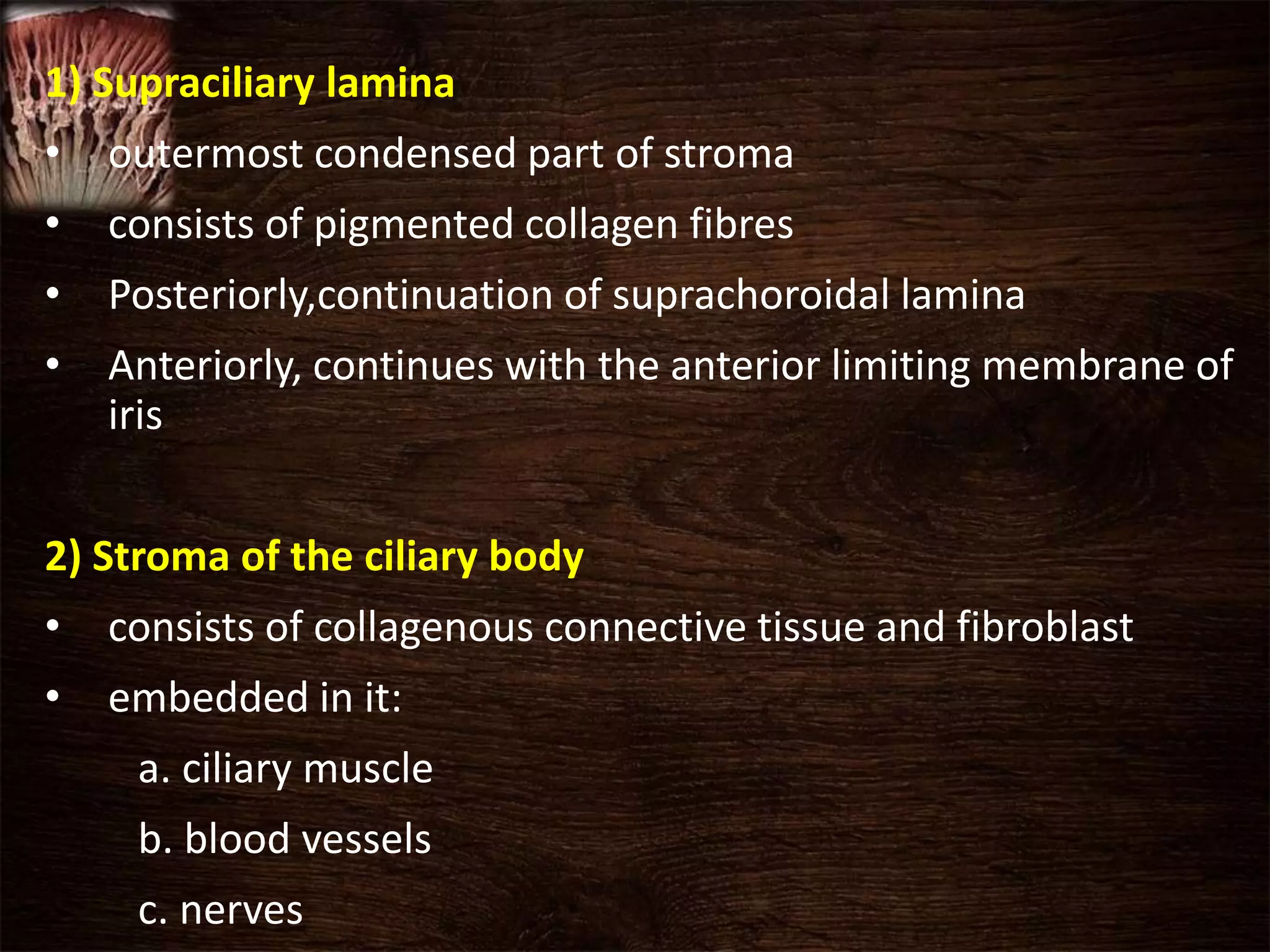 Uvea anatomy | PPTX