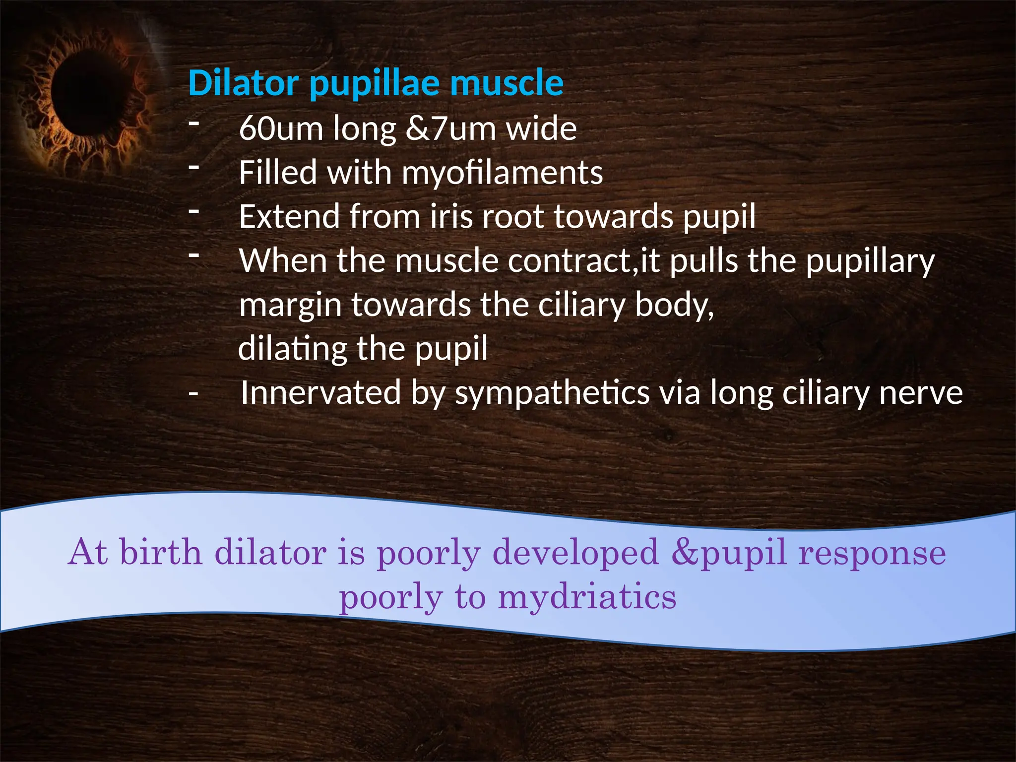 Anatomy and physiology of Uvea- Dr. Moks.pptx