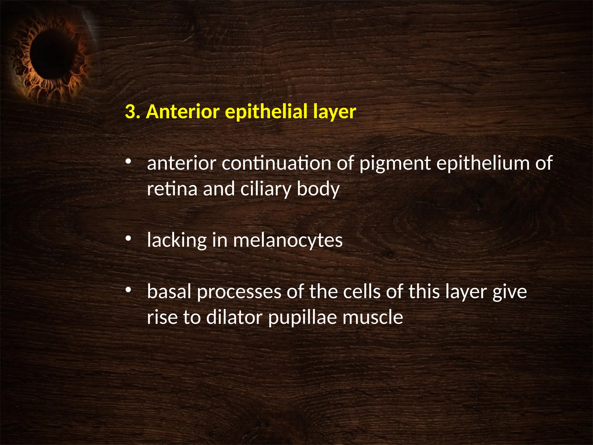 Anatomy and physiology of Uvea- Dr. Moks.pptx