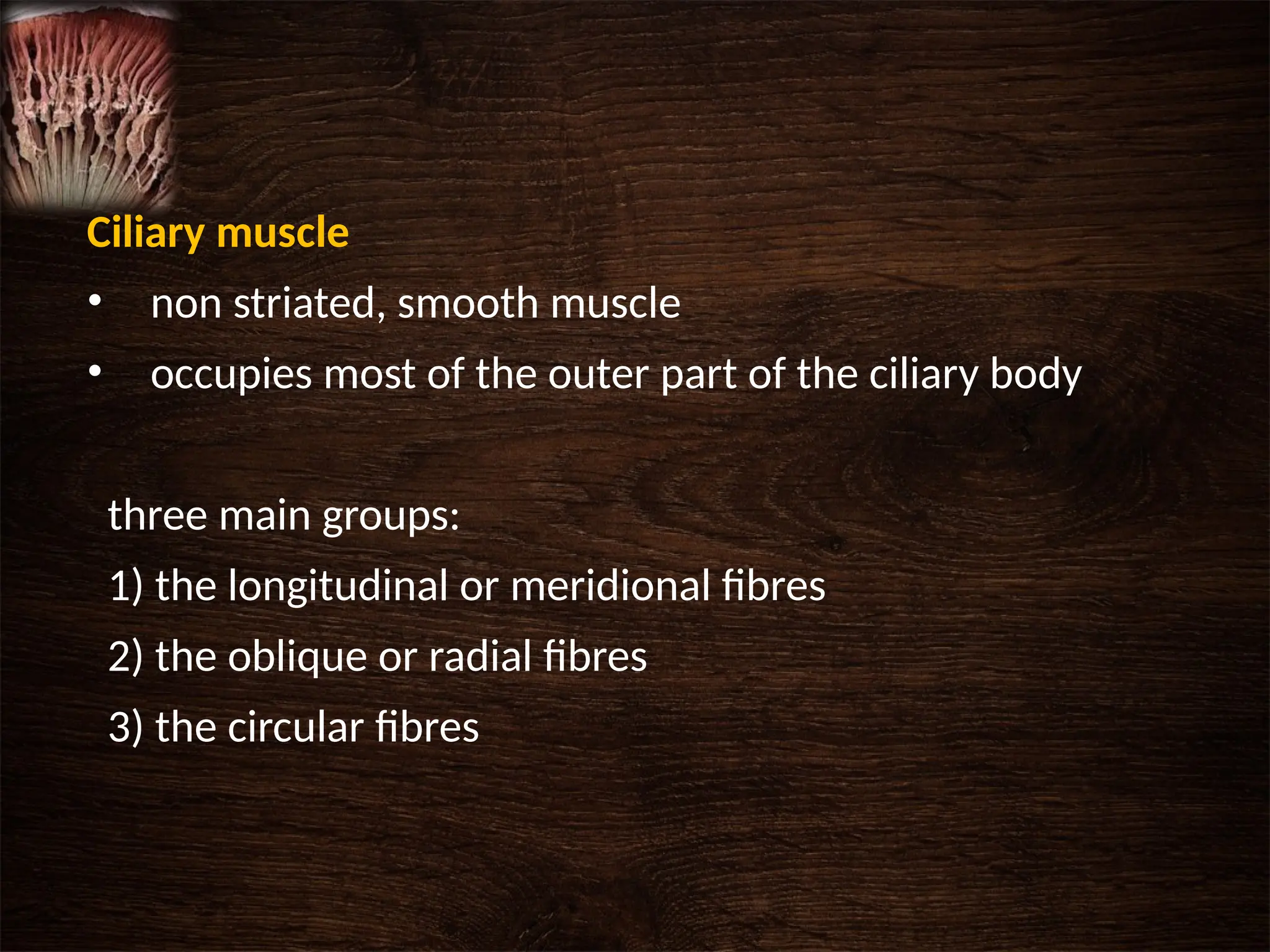 Anatomy and physiology of Uvea- Dr. Moks.pptx