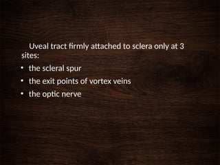 Anatomy and physiology of Uvea- Dr. Moks.pptx