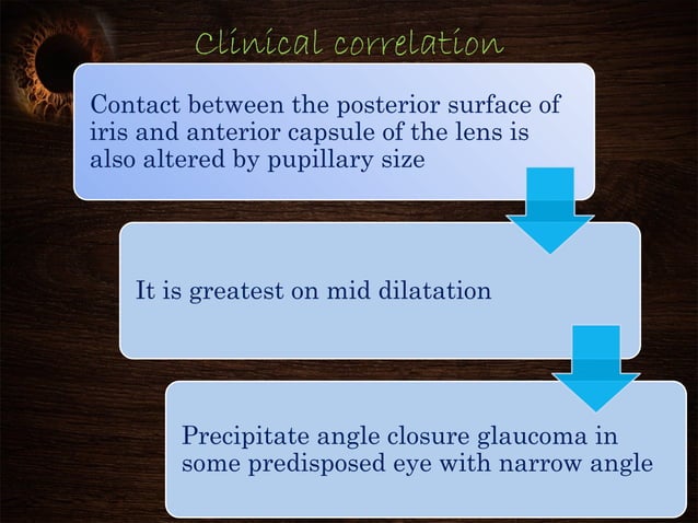 Uvea- Prof Moks (Anatomy, Nerve Supply).pptx