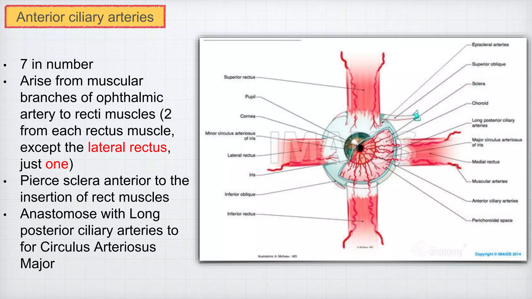 Uvea 1 slideshare | PPTX