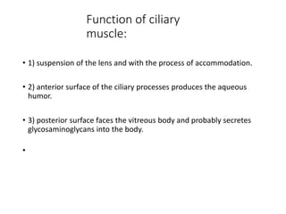 uveal part1 +2.pptx | Eye and Vision Conditions | Diseases and Conditions