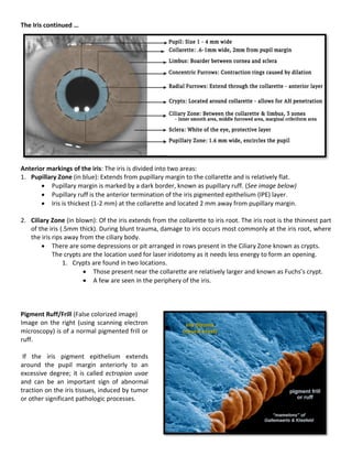 Uveal Tract Review | PDF
