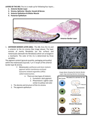 Uveal Tract Review | PDF