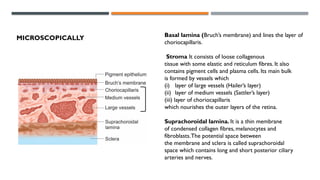 ANATOMY OF UVEAL TRACT - MBBS OPTHA 2024 | PPTX
