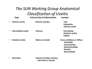 Uveitis investigations | PPTX