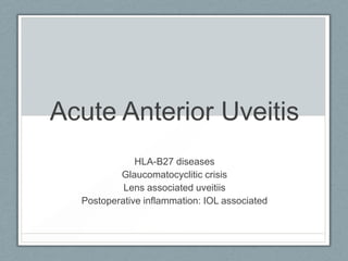 Uveitis | PPTX