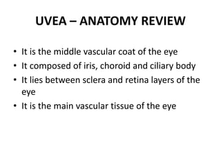 Uveitis | PPTX