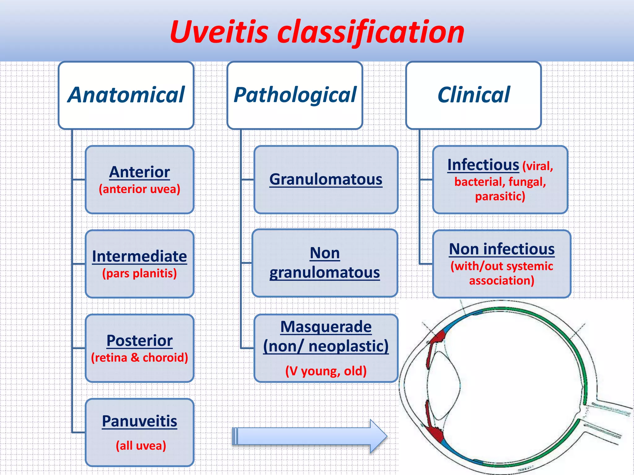 Uveitis | PPTX | Eye and Vision Conditions | Diseases and Conditions