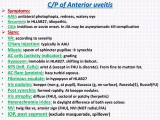 Uveitis | PPTX