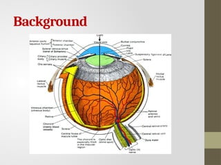 uveitis inflamación de la uvea por patologías | PPTX