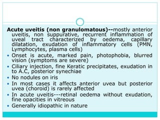 Uveitis | PPTX