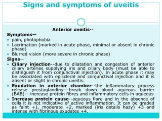 Uveitis | PPTX