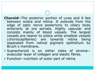 Uveitis | PPTX