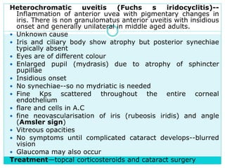 Uveitis | PPTX