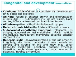 Uveitis | PPTX