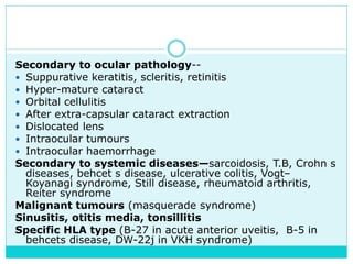 Uveitis | PPTX