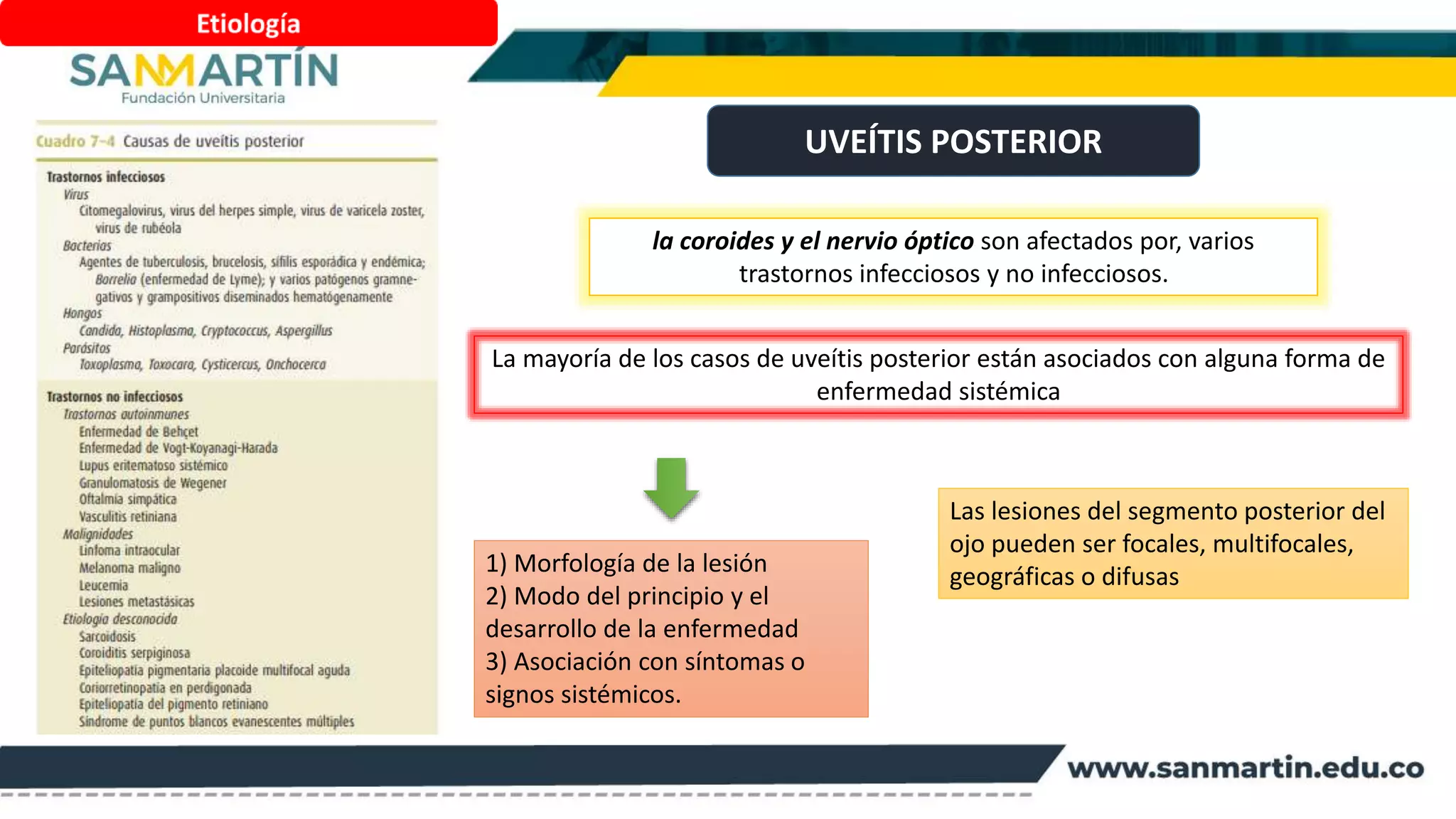 UVEITIS.pptx | Eye and Vision Conditions | Diseases and Conditions