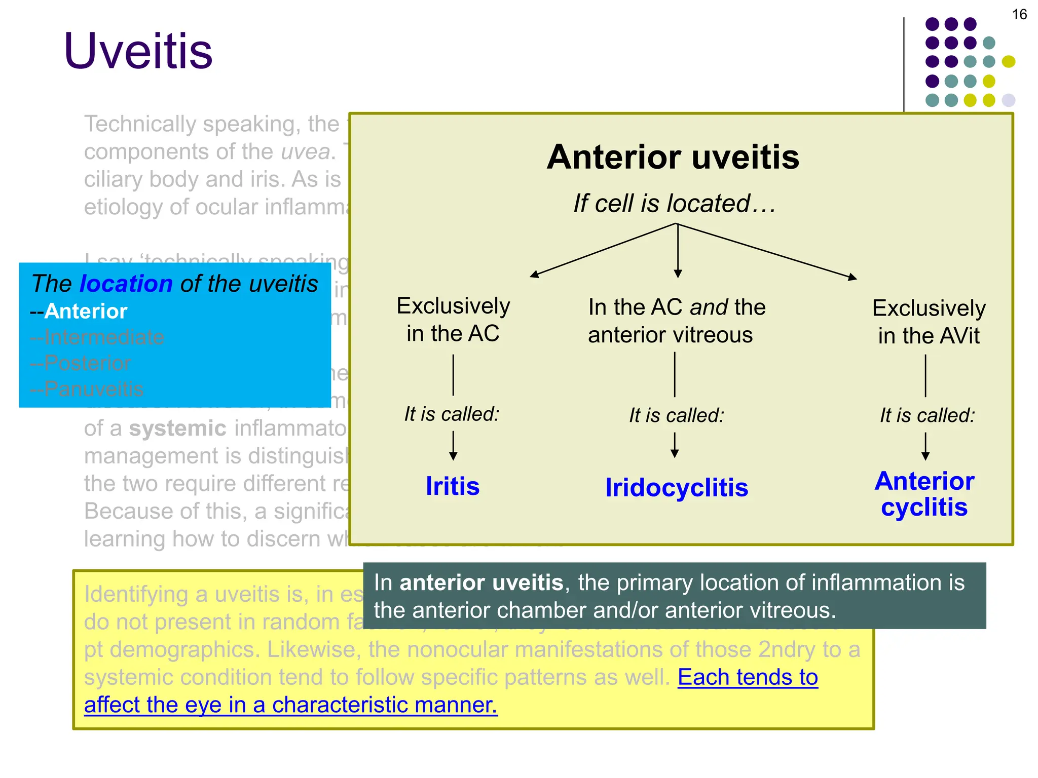 Uveitis in the eye anterior uvitis and posterior uveitis | PDF