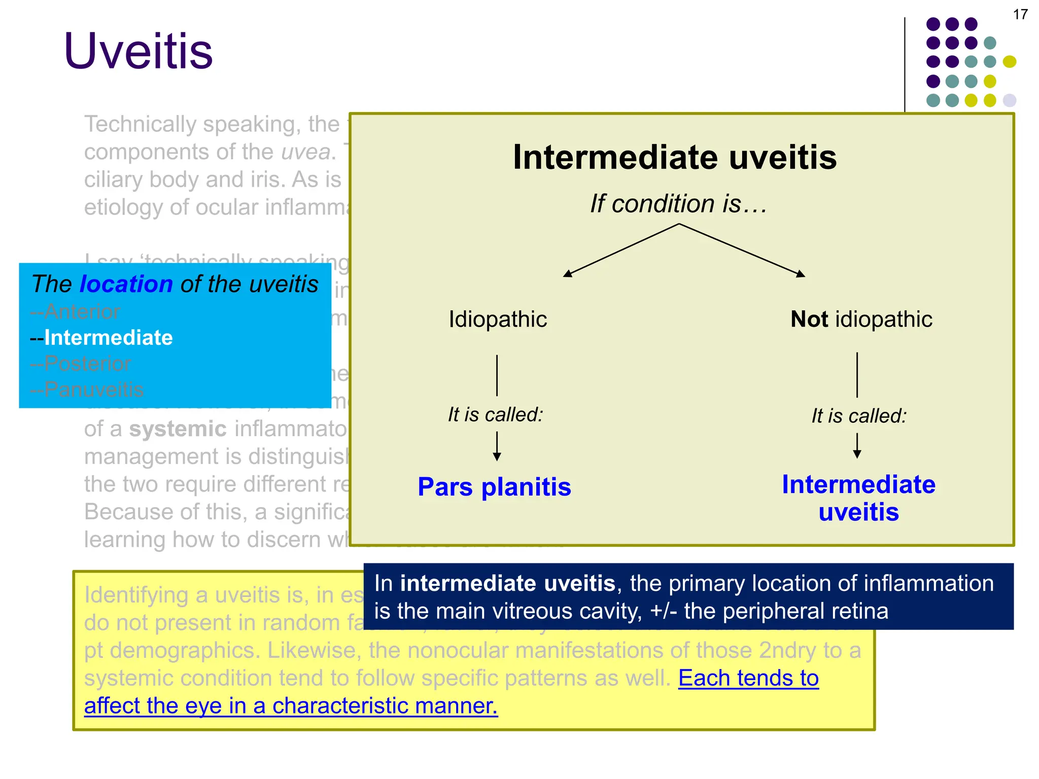 Uveitis in the eye anterior uvitis and posterior uveitis | PDF