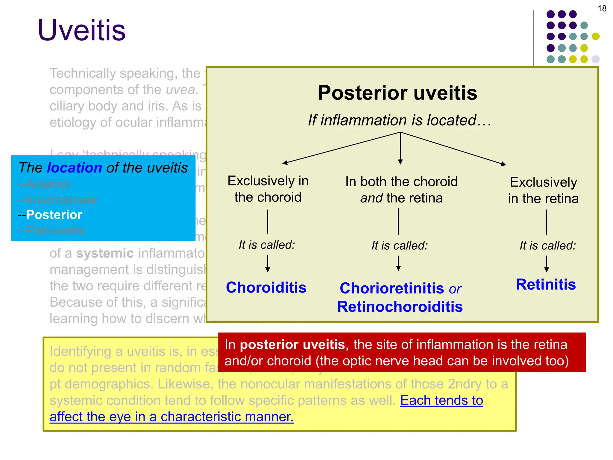Uveitis in the eye anterior uvitis and posterior uveitis | PDF