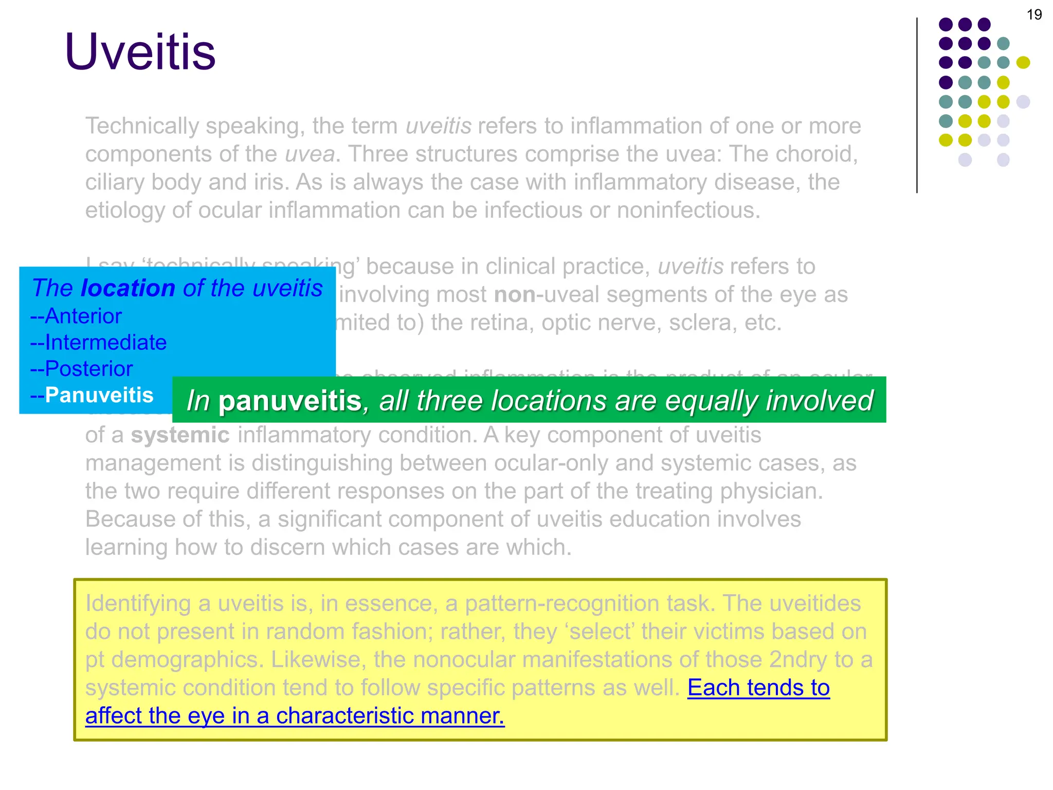Uveitis in the eye anterior uvitis and posterior uveitis | PDF