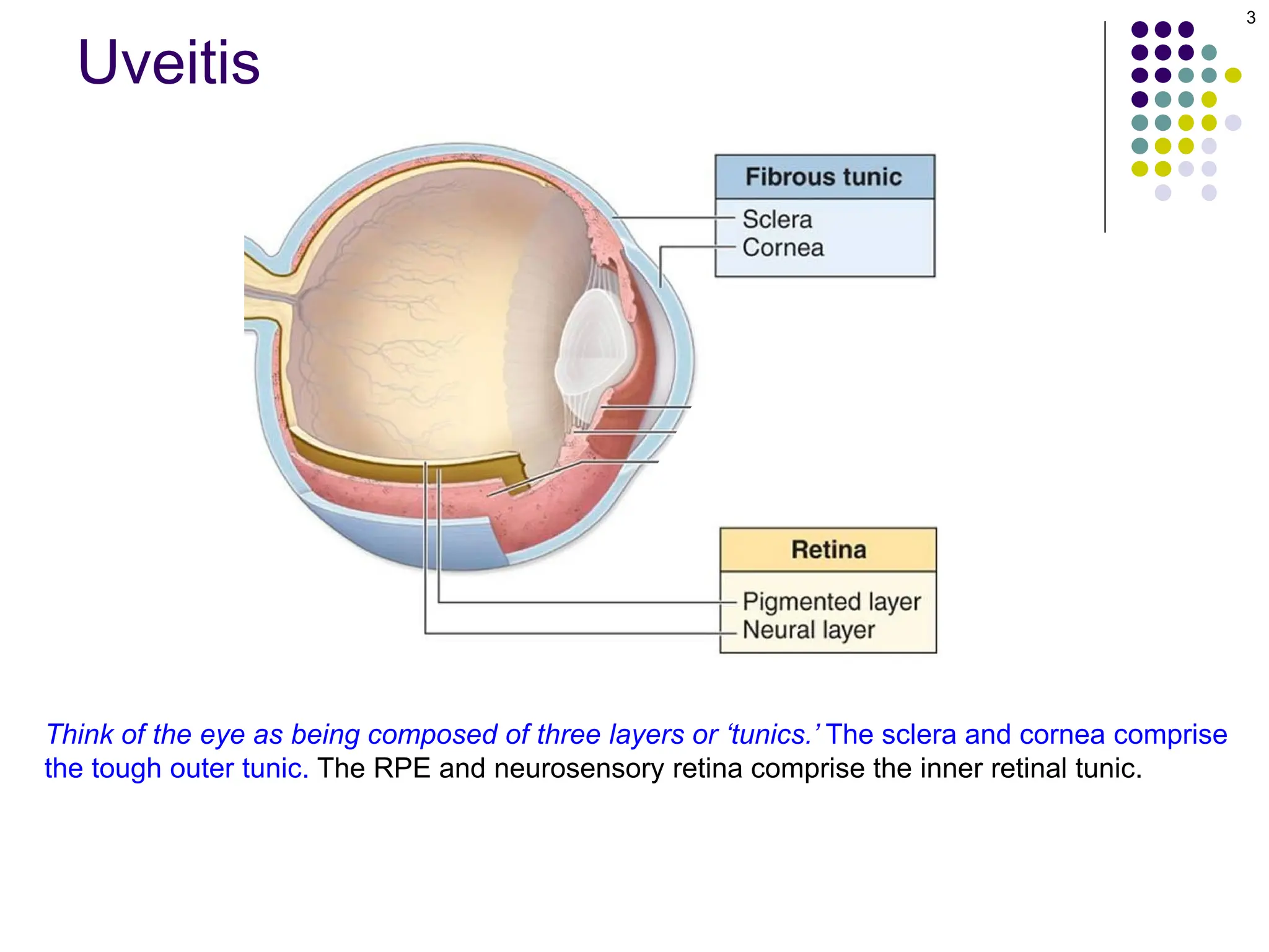 Uveitis In The Eye Anterior Uvitis And Posterior Uveitis Ppt