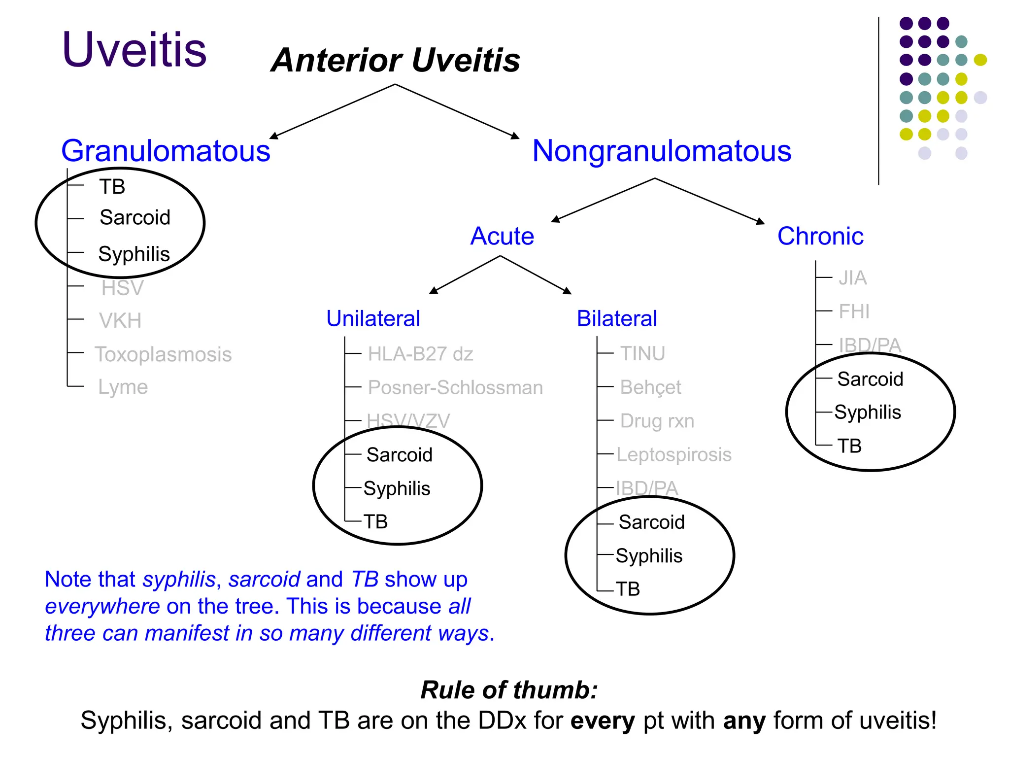 Uveitis in the eye anterior uvitis and posterior uveitis | PDF