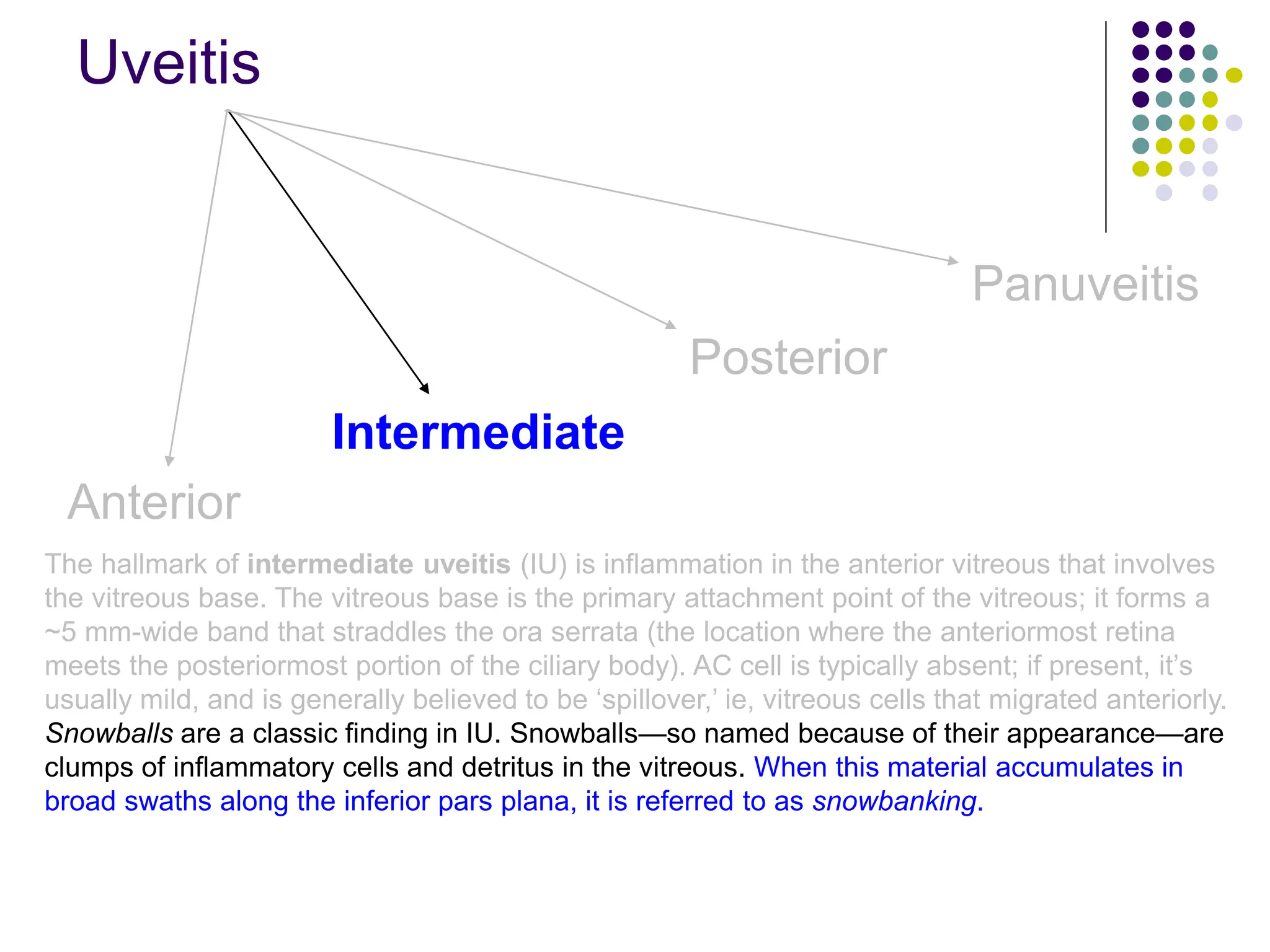 Uveitis in the eye anterior uvitis and posterior uveitis | PDF