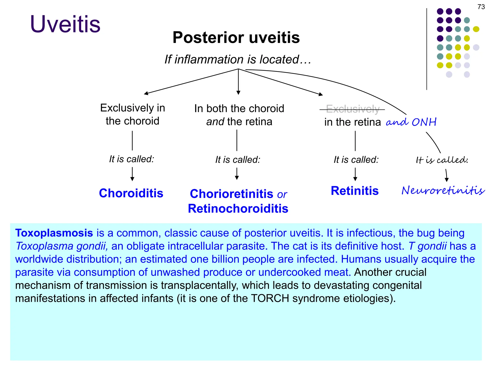 Uveitis in the eye anterior uvitis and posterior uveitis | PDF