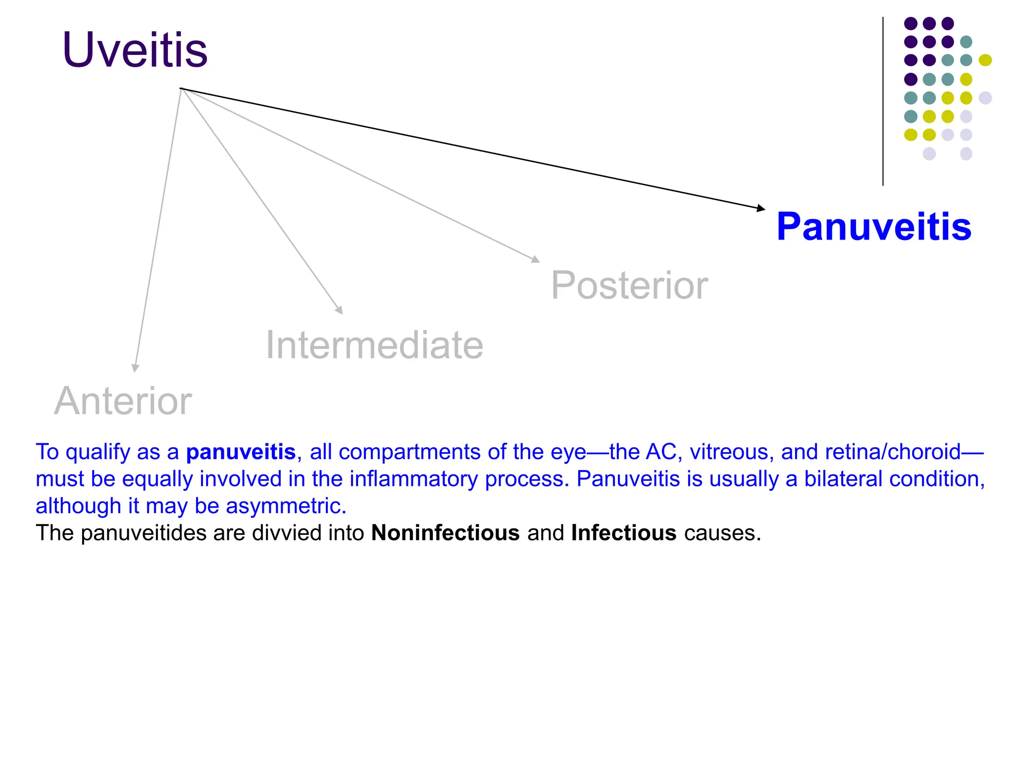 Uveitis in the eye anterior uvitis and posterior uveitis | PDF