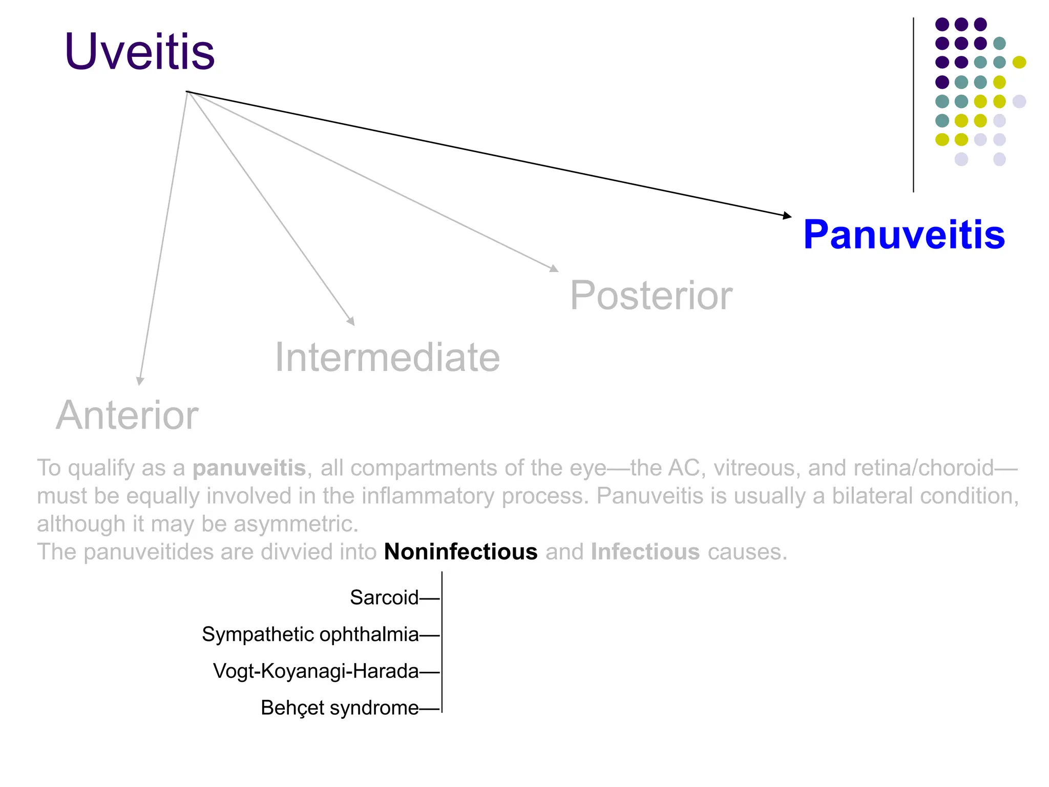 Uveitis in the eye anterior uvitis and posterior uveitis | PDF