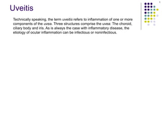 Uveitis in the eye anterior uvitis and posterior uveitis | PDF