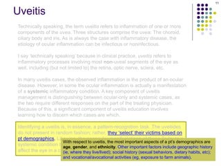 Uveitis in the eye anterior uvitis and posterior uveitis | PDF