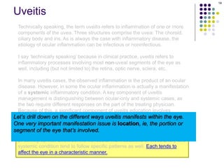 Uveitis in the eye anterior uvitis and posterior uveitis | PDF