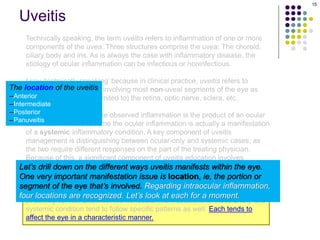 Uveitis in the eye anterior uvitis and posterior uveitis | PDF