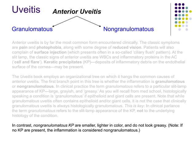 Uveitis in the eye anterior uvitis and posterior uveitis | PDF | Eye and Vision Conditions ...