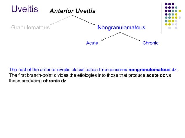 Uveitis in the eye anterior uvitis and posterior uveitis | PDF | Eye ...