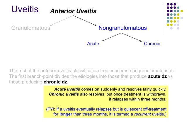 Uveitis in the eye anterior uvitis and posterior uveitis | PDF | Eye ...