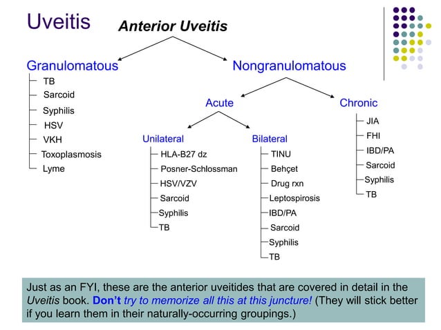 Uveitis in the eye anterior uvitis and posterior uveitis | PDF | Eye and Vision Conditions ...