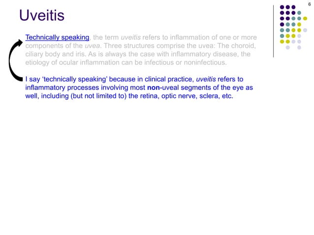 Uveitis in the eye anterior uvitis and posterior uveitis | PDF | Eye and Vision Conditions ...