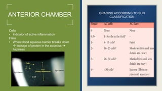 Uveitis its clinical features and management.pptx
