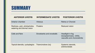 Uveitis its clinical features and management.pptx