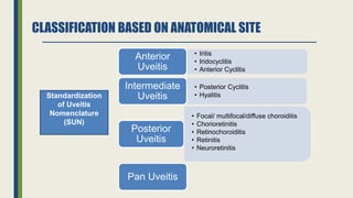 Uveitis its clinical features and management.pptx