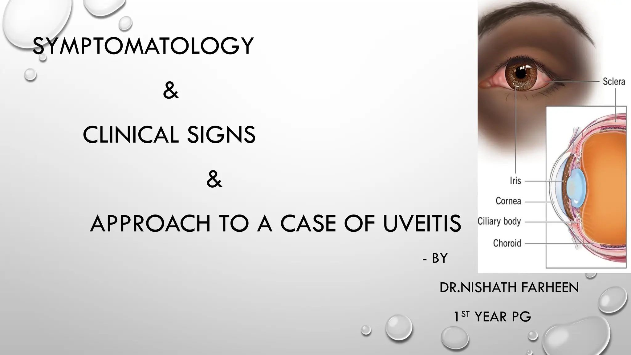 uveitis of the anterior segment and posterior segment | PPTX | Eye and Vision Conditions ...